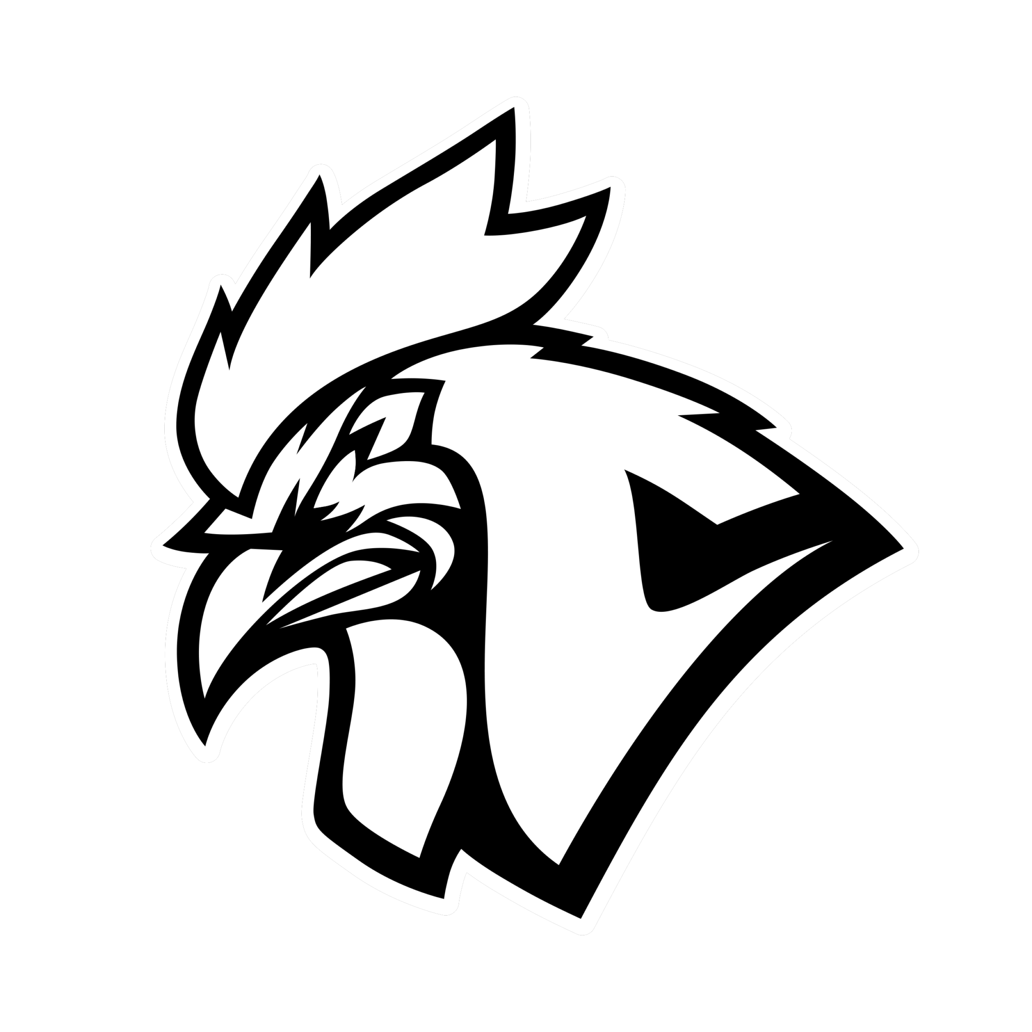 HLTV News | Chicken Coop Esports